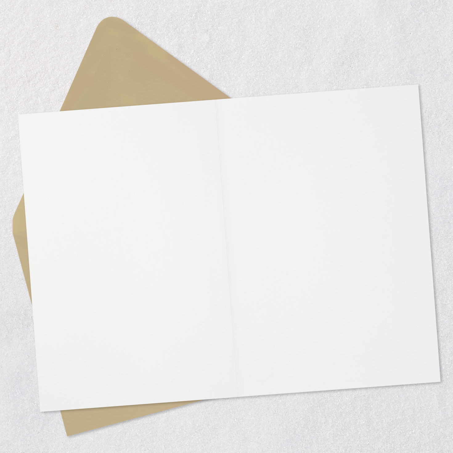 Dogs on Blue Blank Card - Greeting Cards | Hallmark