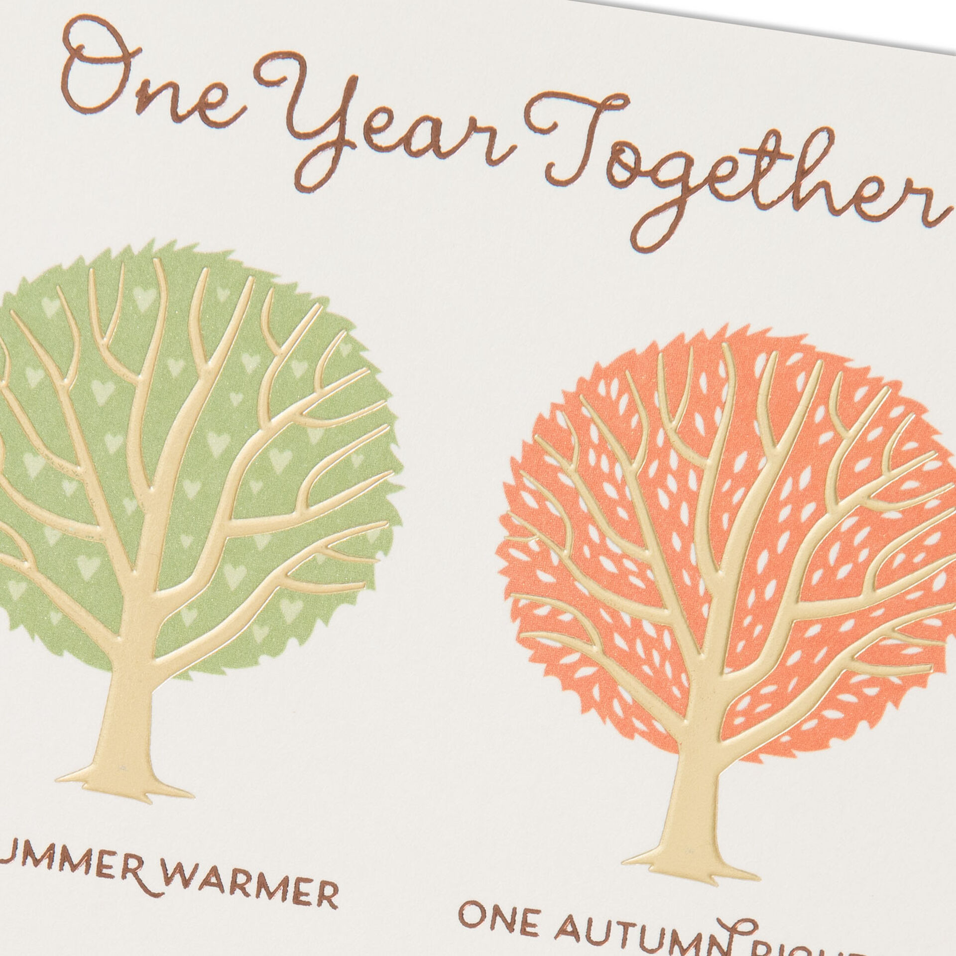 Summer, Autumn, Winter, Spring Trees First Anniversary Card - Greeting ...