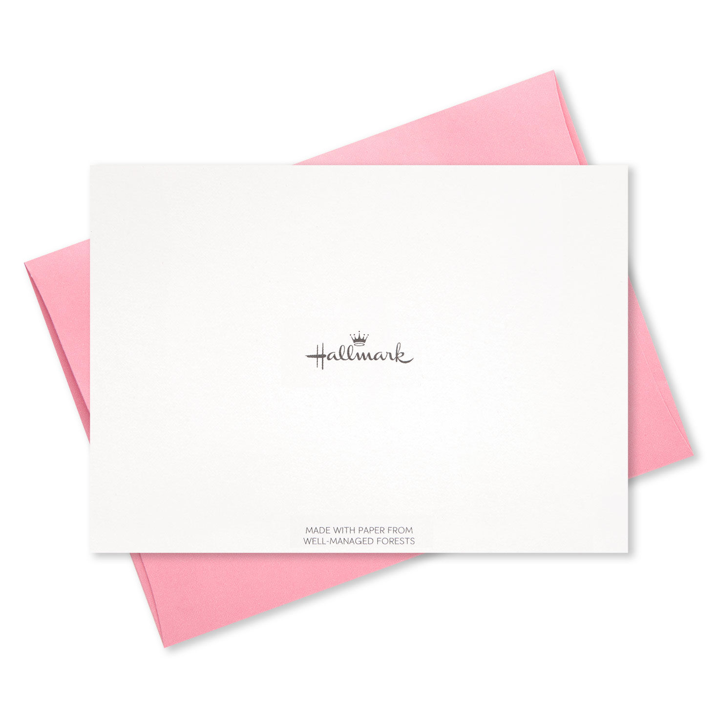 Colorful and Fun Assorted Blank Note Cards, Box of 24 - Note Cards ...