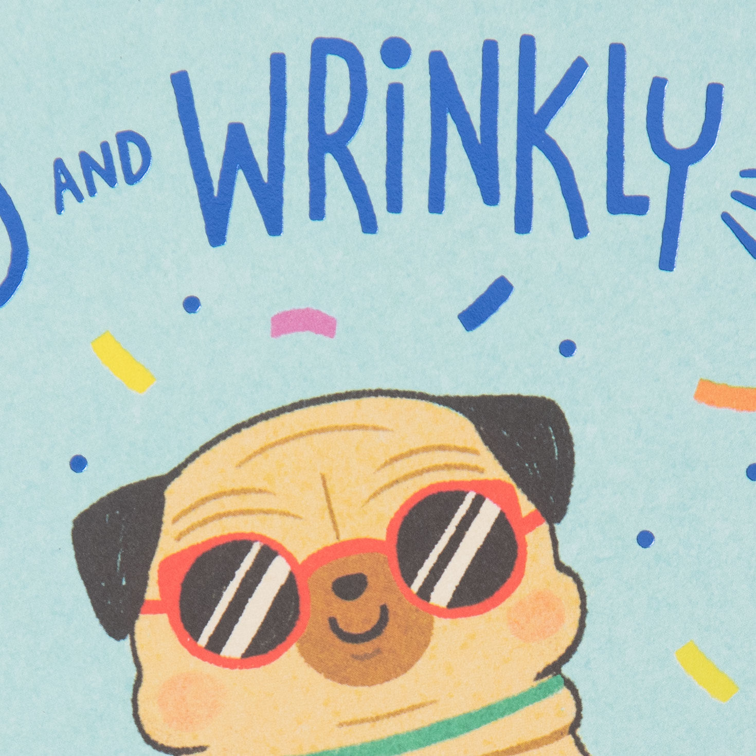 Old and Wrinkly Pug Funny Birthday Card - Greeting Cards | Hallmark
