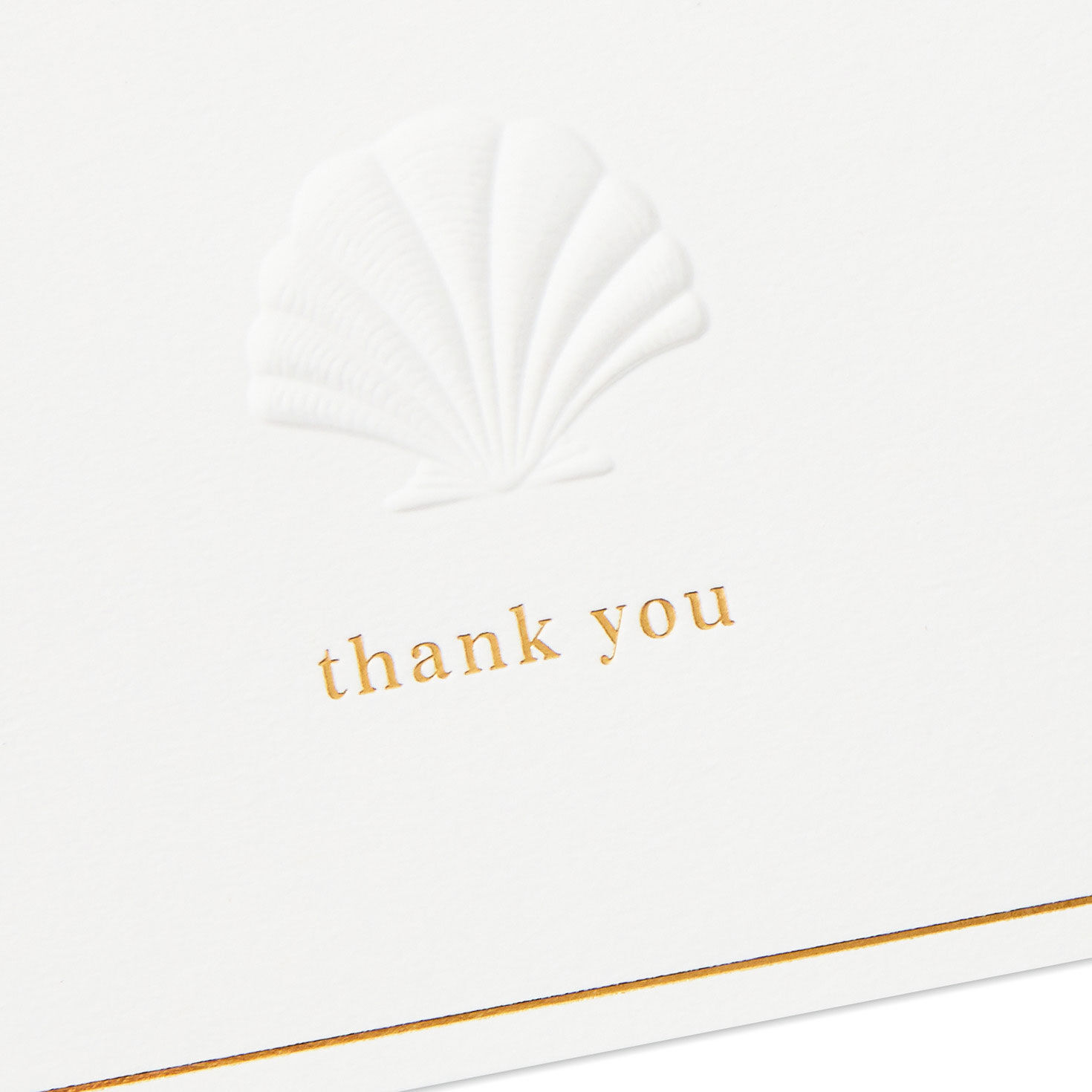 Embossed Shell Blank Thank-You Notes, Box of 10 - Note Cards ...