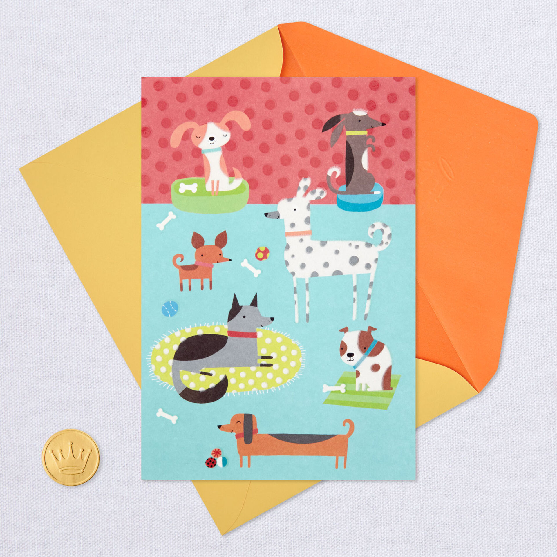 Dog Party Blank Card - Greeting Cards - Hallmark