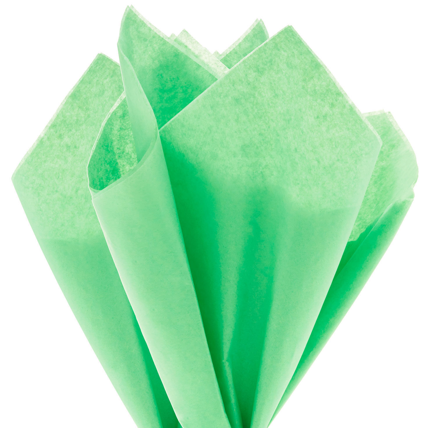 Apple Green Tissue Paper 8 sheets Tissue Hallmark
