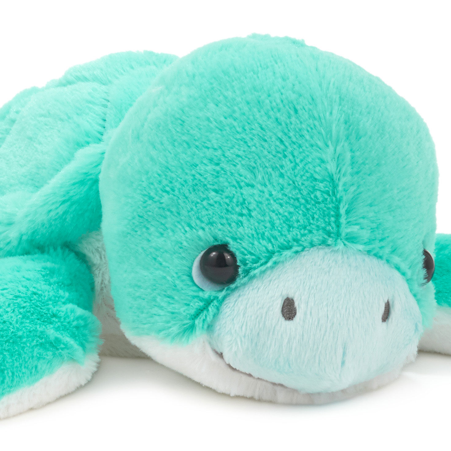 Turquoise Sea Turtle Plush, 8" L - Classic Stuffed Animals | Hallmark