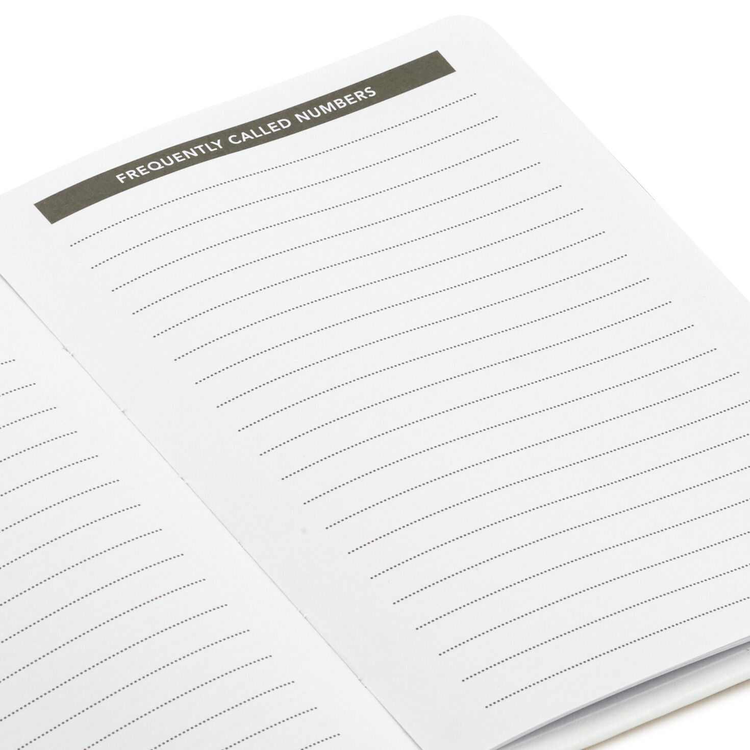 Gold Polka Dots Address Book - Address Books | Hallmark