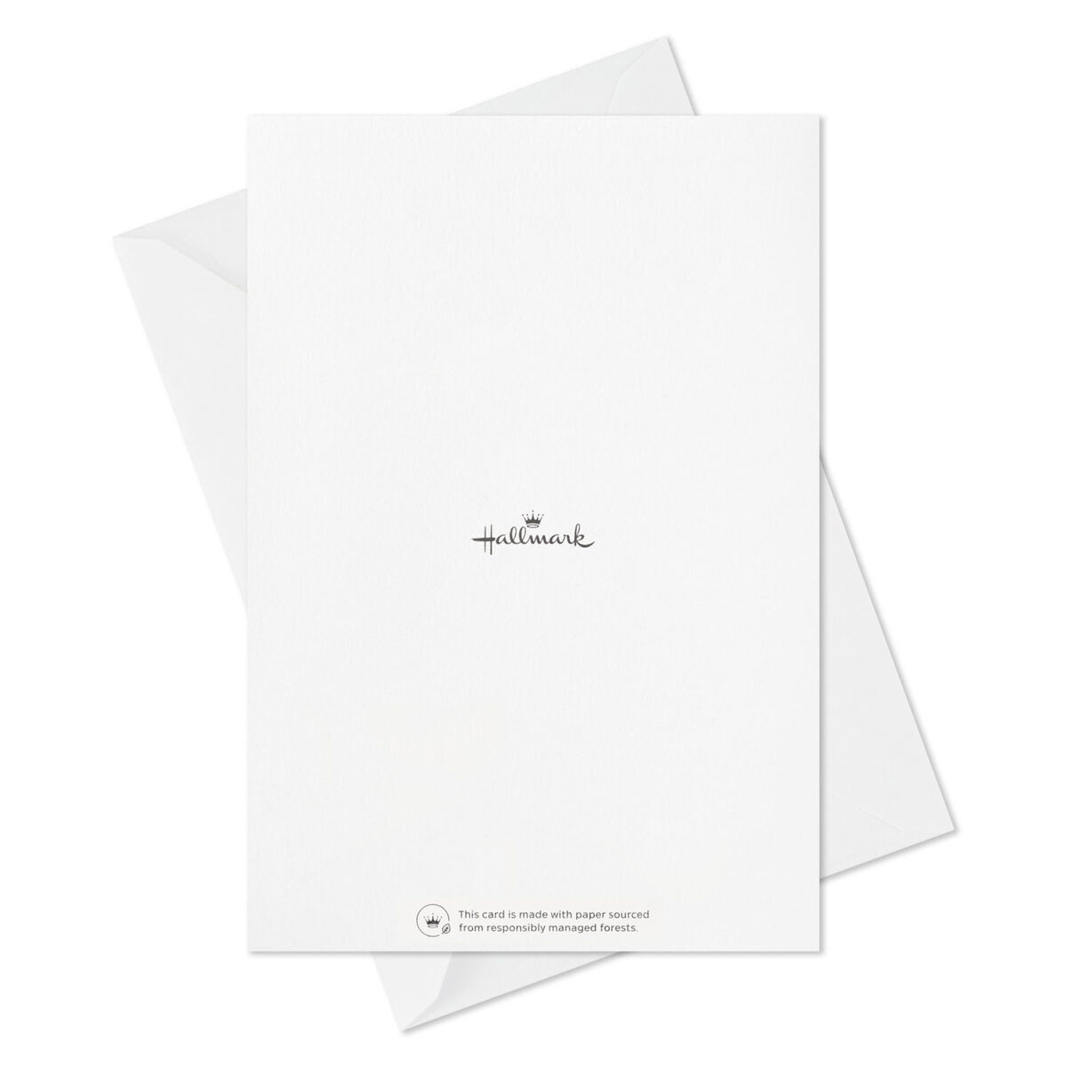 Trendy Lettering Boxed All-Occasion Cards Assortment, Pack of 12 ...