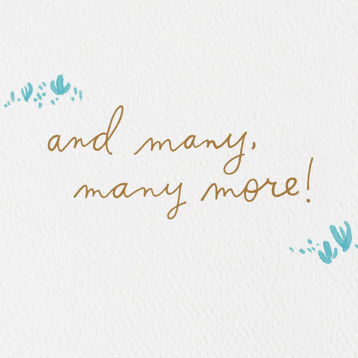 Happy Birthday and Many More Birthday Card - Greeting Cards | Hallmark