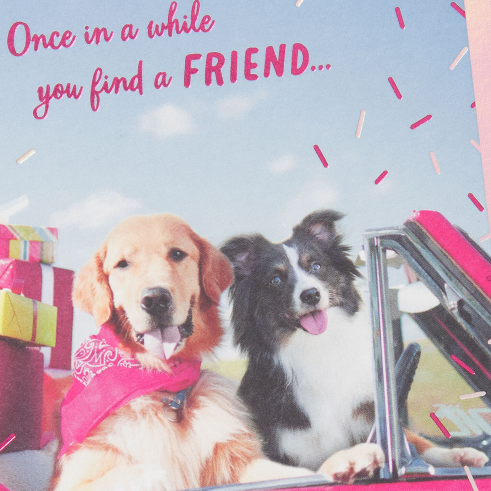 Fancy Pups Forever Friends Birthday Card - Greeting Cards - Hallmark