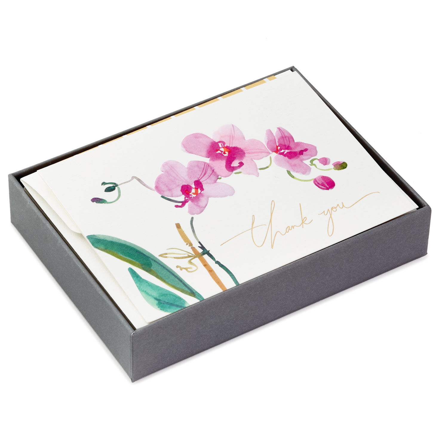 Pink Orchid Blank Thank-You Notes, Box of 10 - Note Cards & Stationery ...