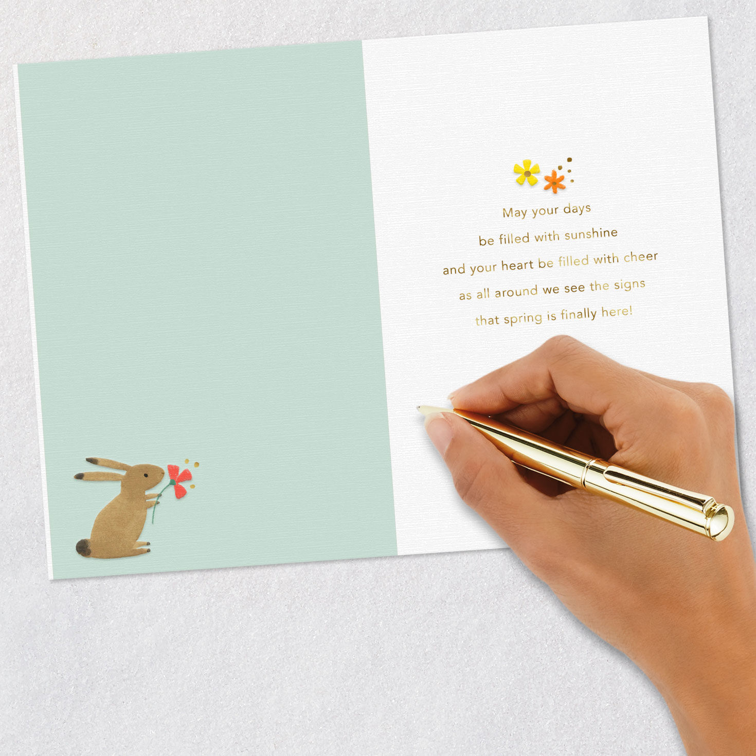 Spring Is Finally Here Easter Card - Greeting Cards | Hallmark