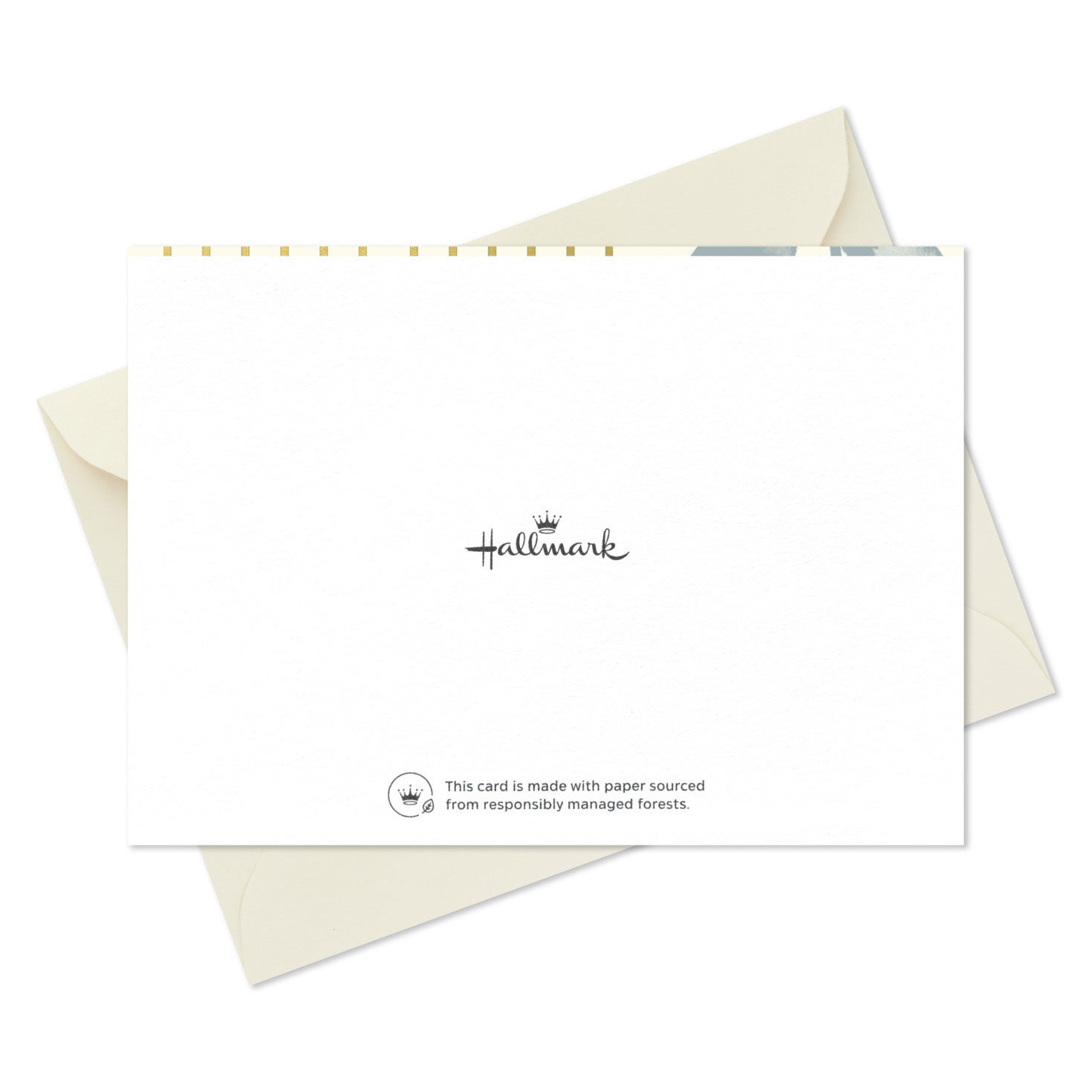 Arches and Eucalyptus Blank Notes, Pack of 10 - Note Cards & Stationery ...