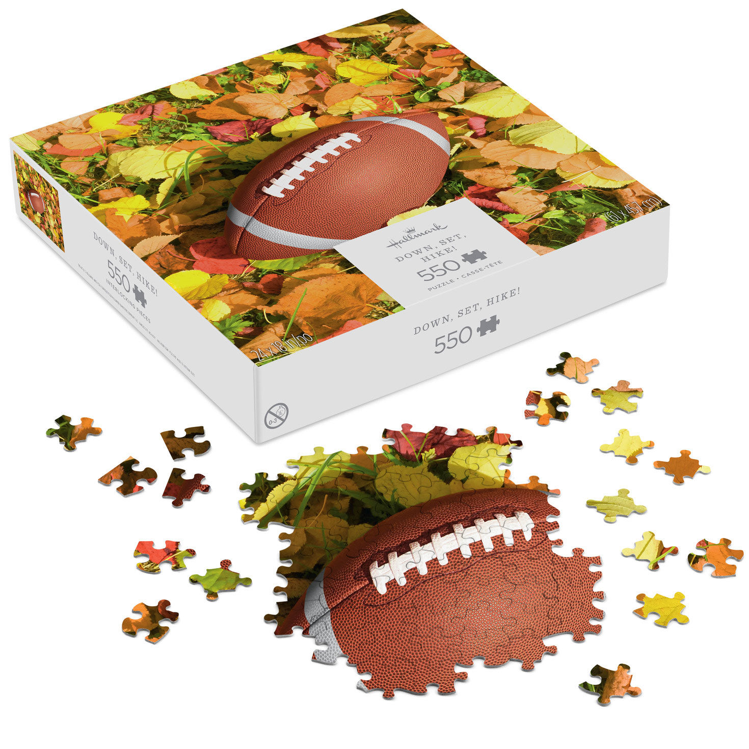 Down, Set, Hike! 550-Piece Jigsaw Puzzle - Puzzles | Hallmark