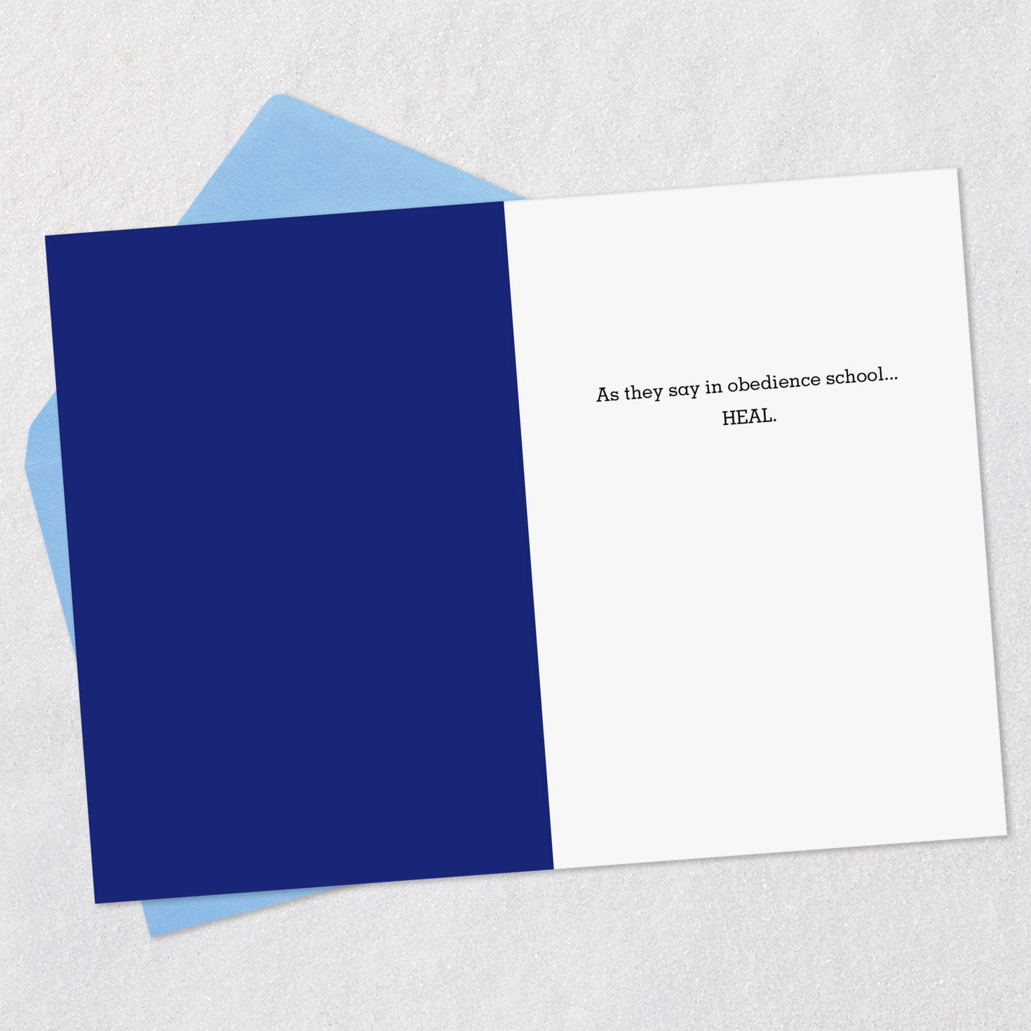 Dog Doctor Funny Get Well Card - Greeting Cards | Hallmark