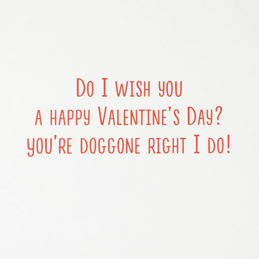 Musical Greeting Cards | Singing Birthday Cards | Hallmark