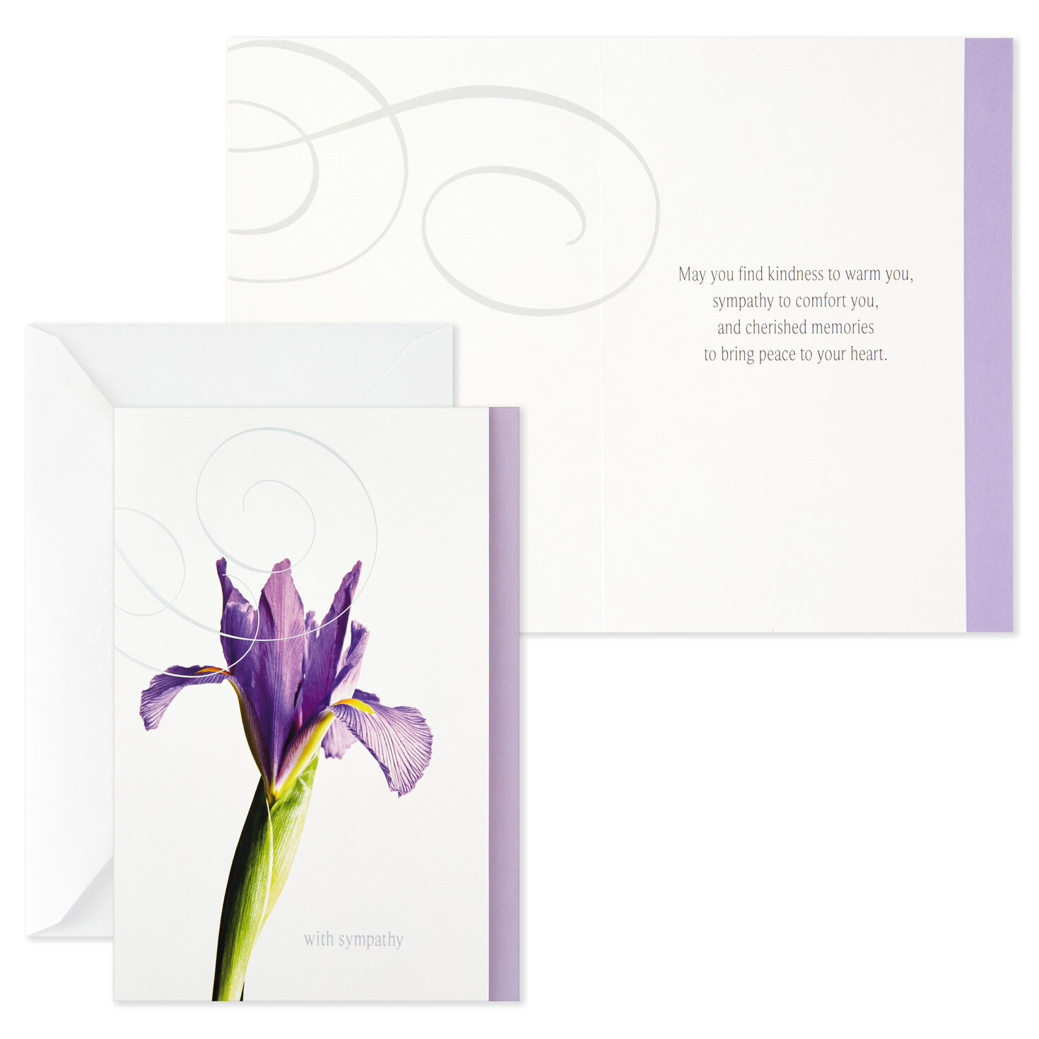 Flower Photos Assorted Sympathy Cards, Box of 12 - Boxed Cards | Hallmark