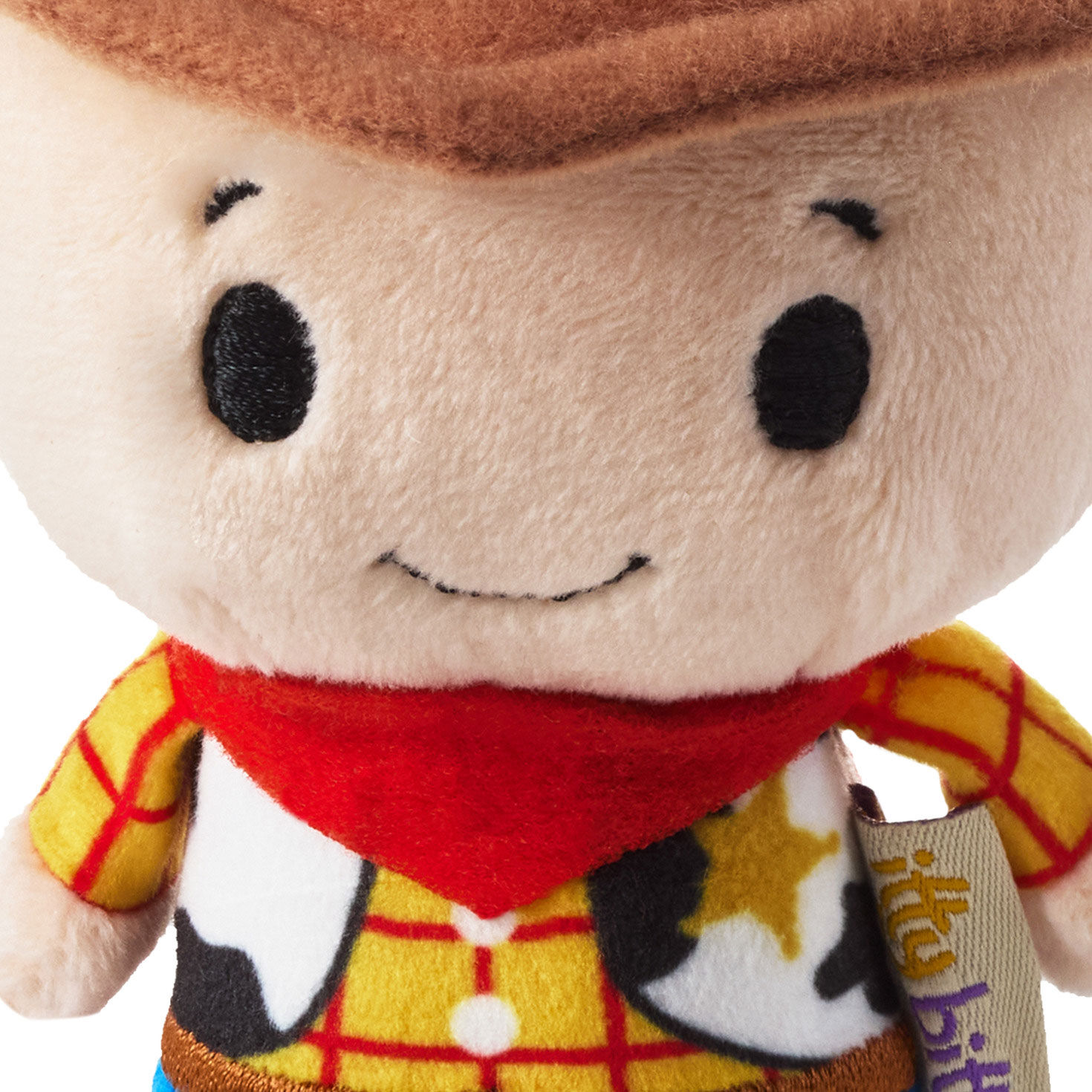 itty bittys® Disney Toy Story Woody Plush With Sound - itty bittys ...