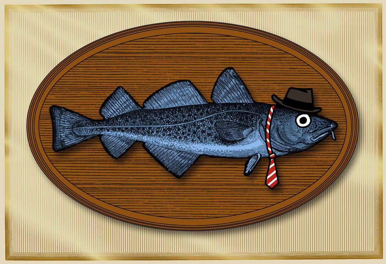 Shoebox | Funny Cards | Hallmark