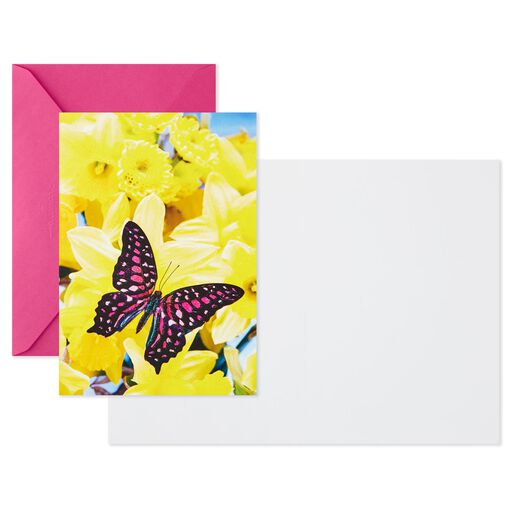 Card Packs | Assorted Cards | Hallmark
