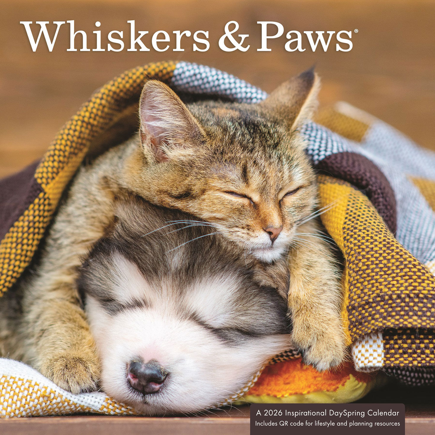 DaySpring Whiskers & Paws 12-Month 2026 Wall Calendar - Calendars ...