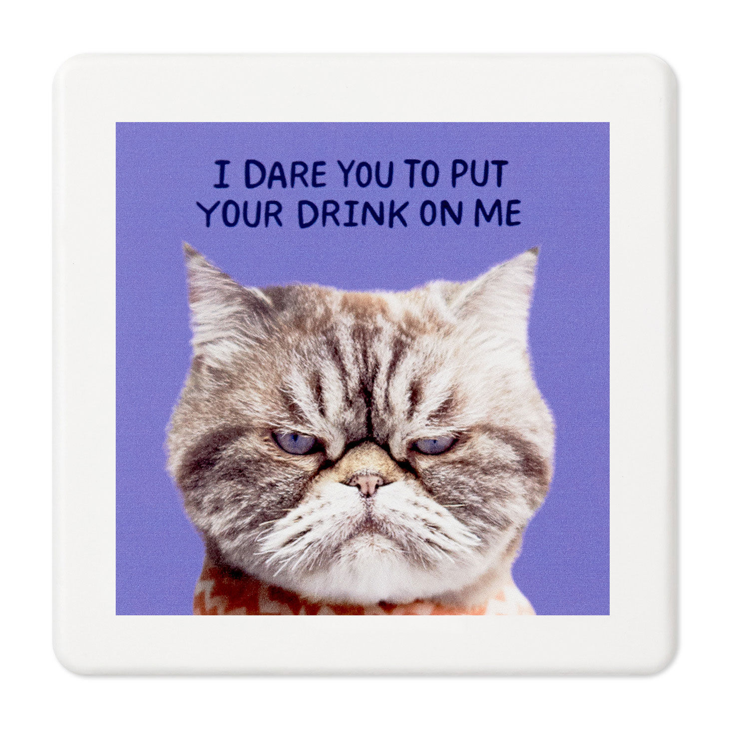 Grumpy Kevin the Cat Photo Funny Coaster - Kitchen Accessories | Hallmark