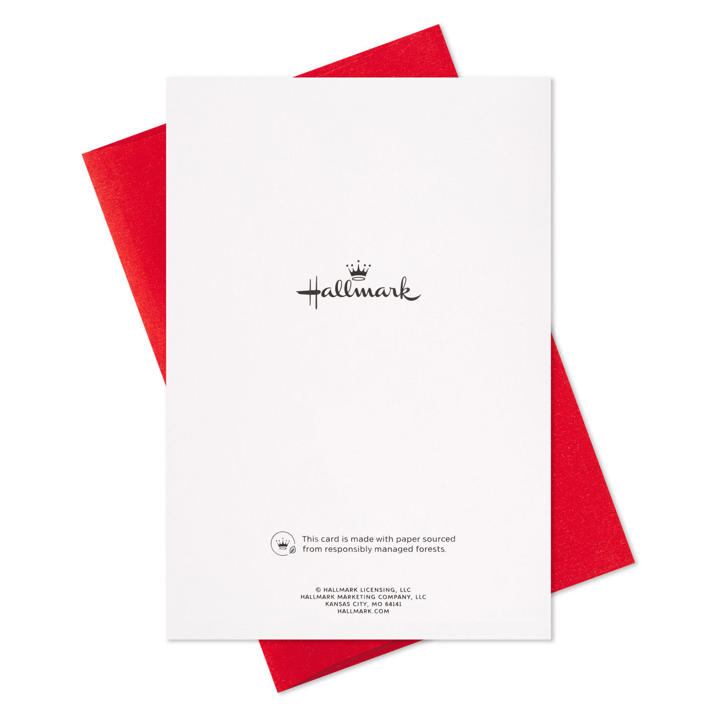 Red Script and Snowy Evergreens Boxed Christmas Cards, Pack of 16 ...