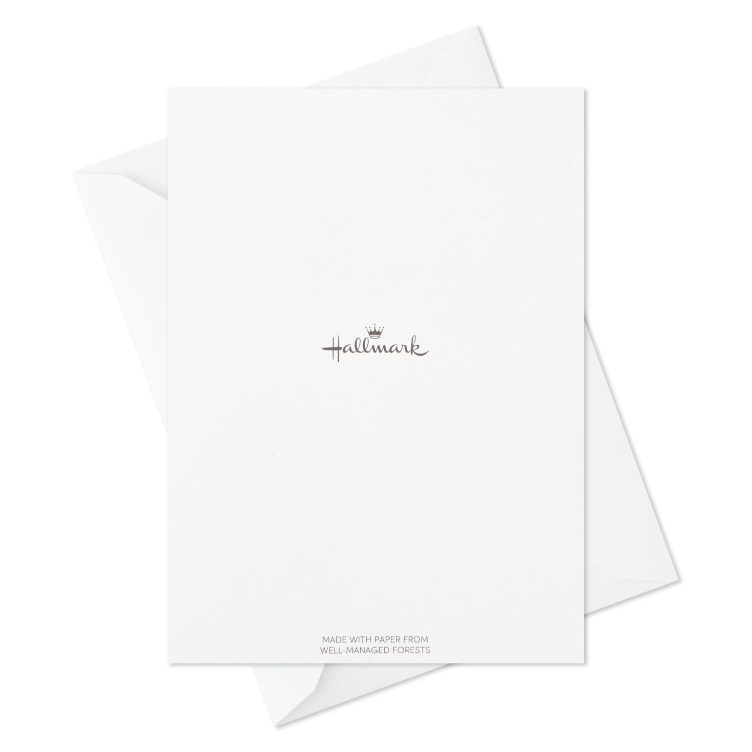 Nature in Watercolor Assorted Blank Note Cards, Pack of 48 - Note Cards ...