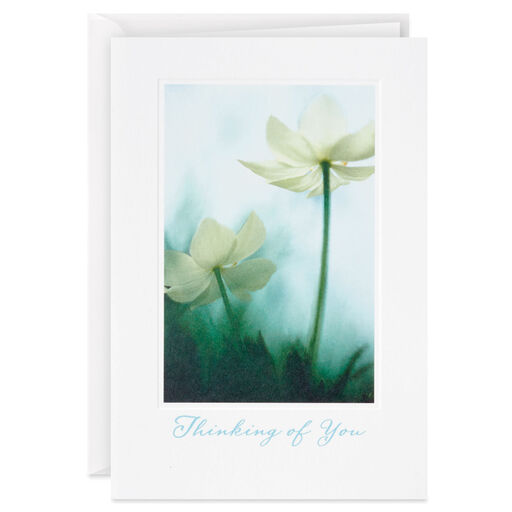 Greeting Cards | Hallmark