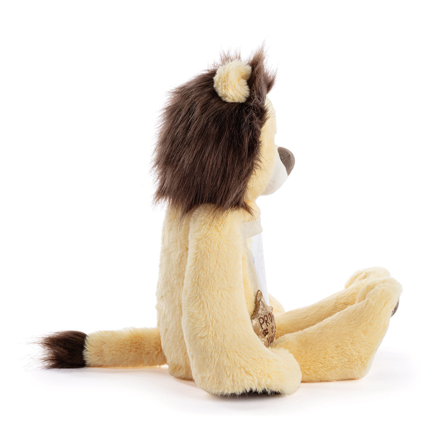 Demdaco Proud of You Lion Stuffed Animal, 16" - Classic Stuffed Animals ...