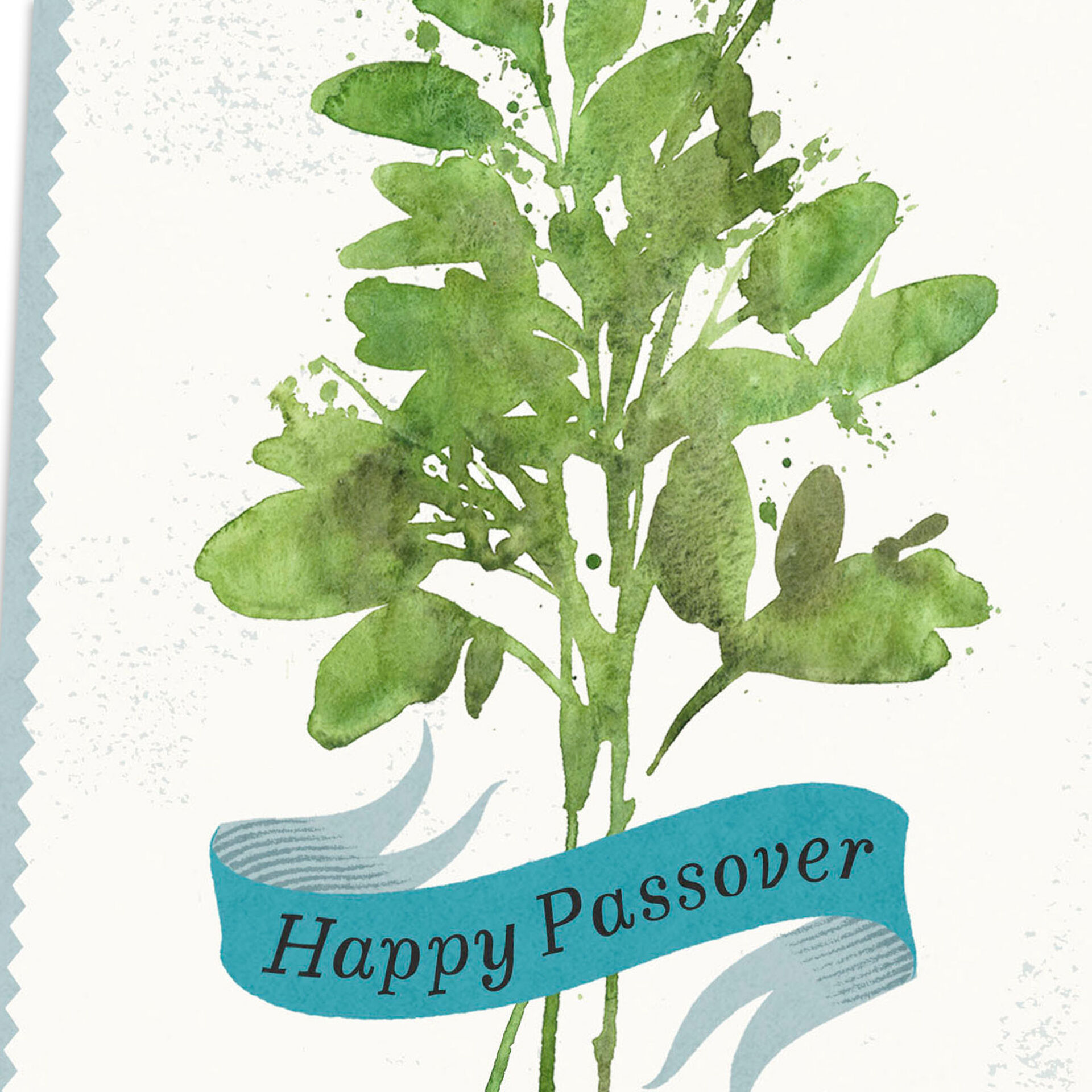 Green Herbs With Banner Passover Cards, Pack of 6 - Boxed Cards - Hallmark