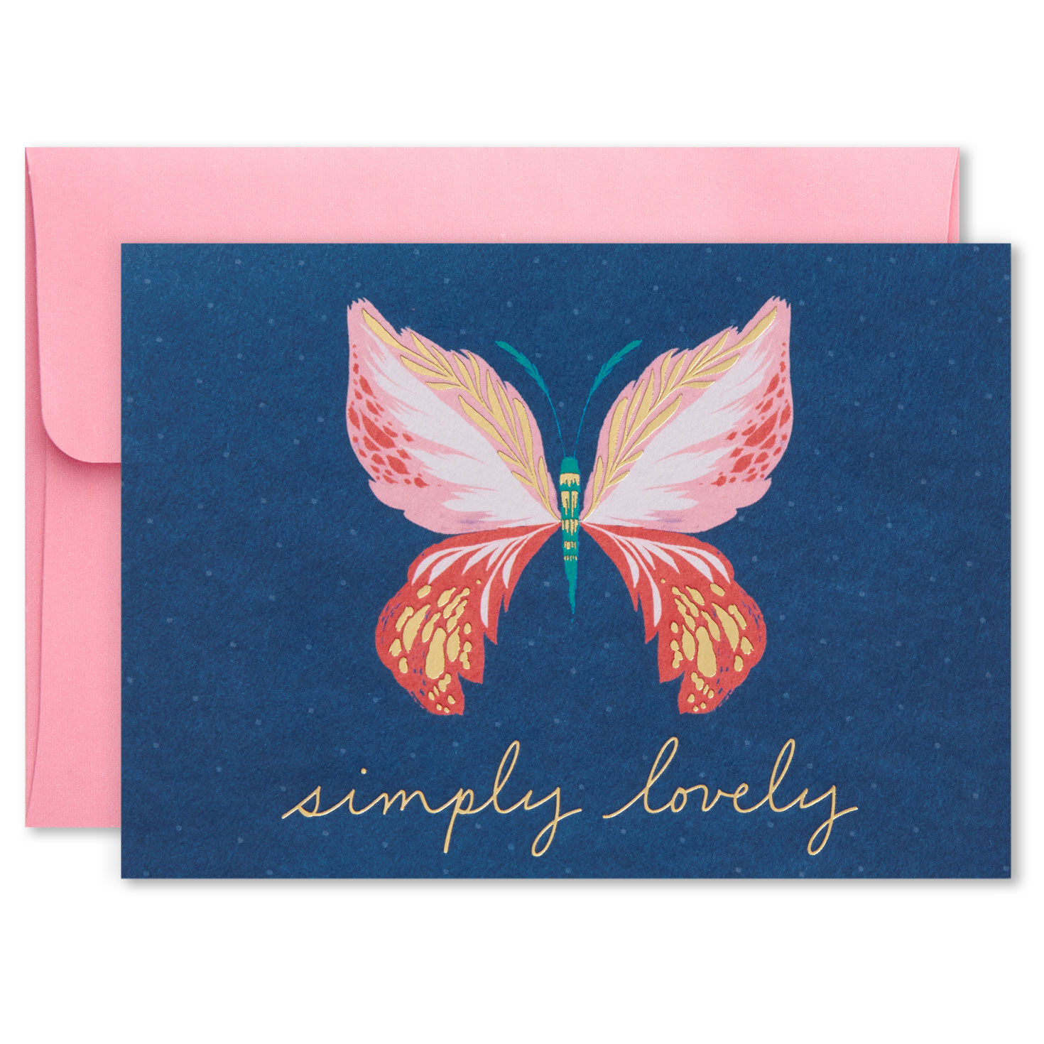 Colorful and Fun Assorted Blank Note Cards, Box of 24 - Note Cards ...