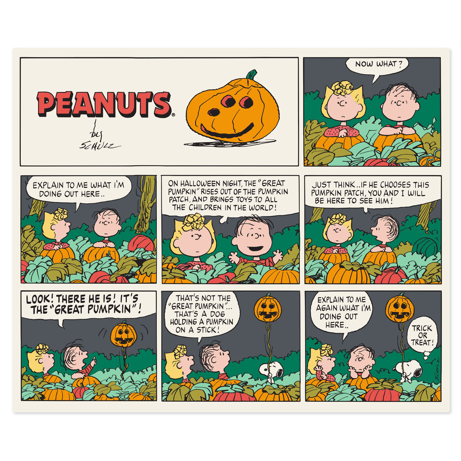 Peanuts® Great Pumpkin Comic Strip Throw Blanket, 60x50 - Pillows & Blankets | Hallmark
