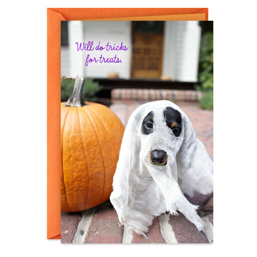 Greeting Cards | Hallmark