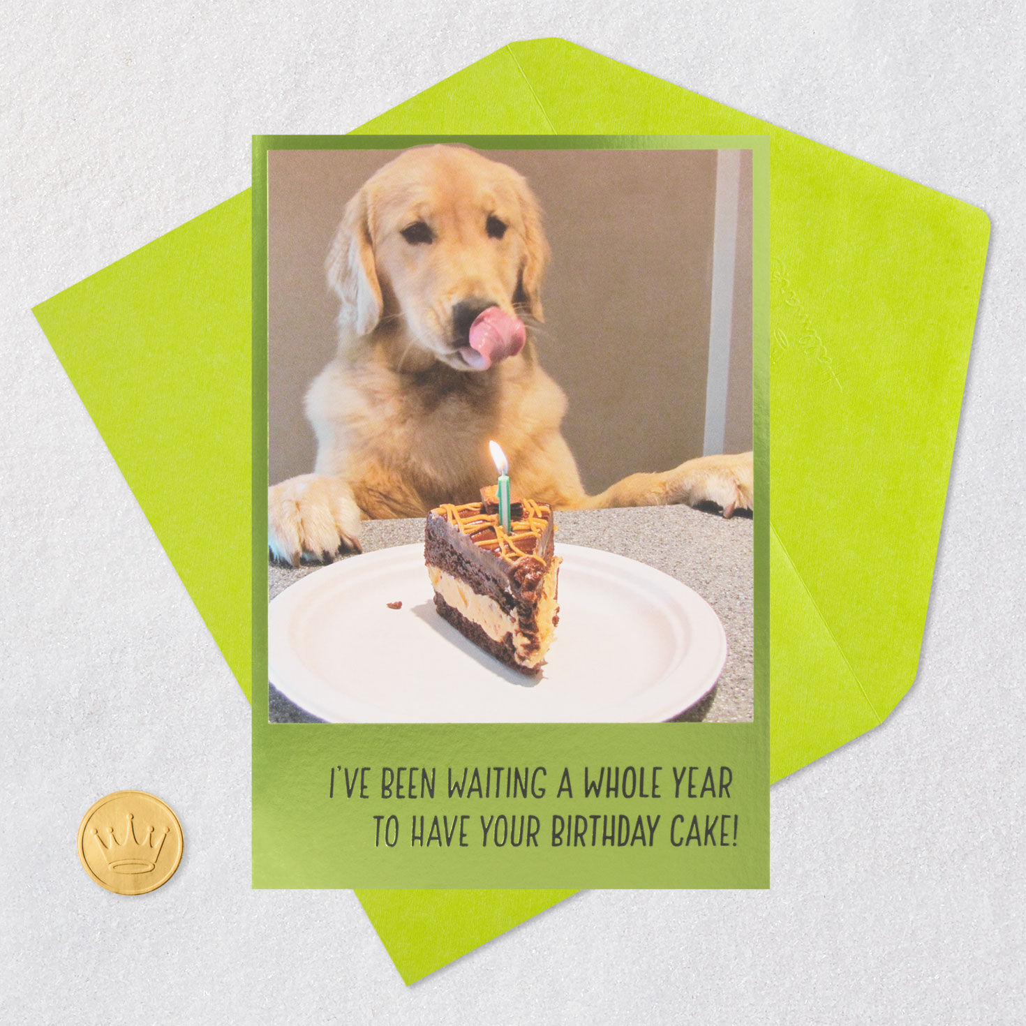 dog birthday card images