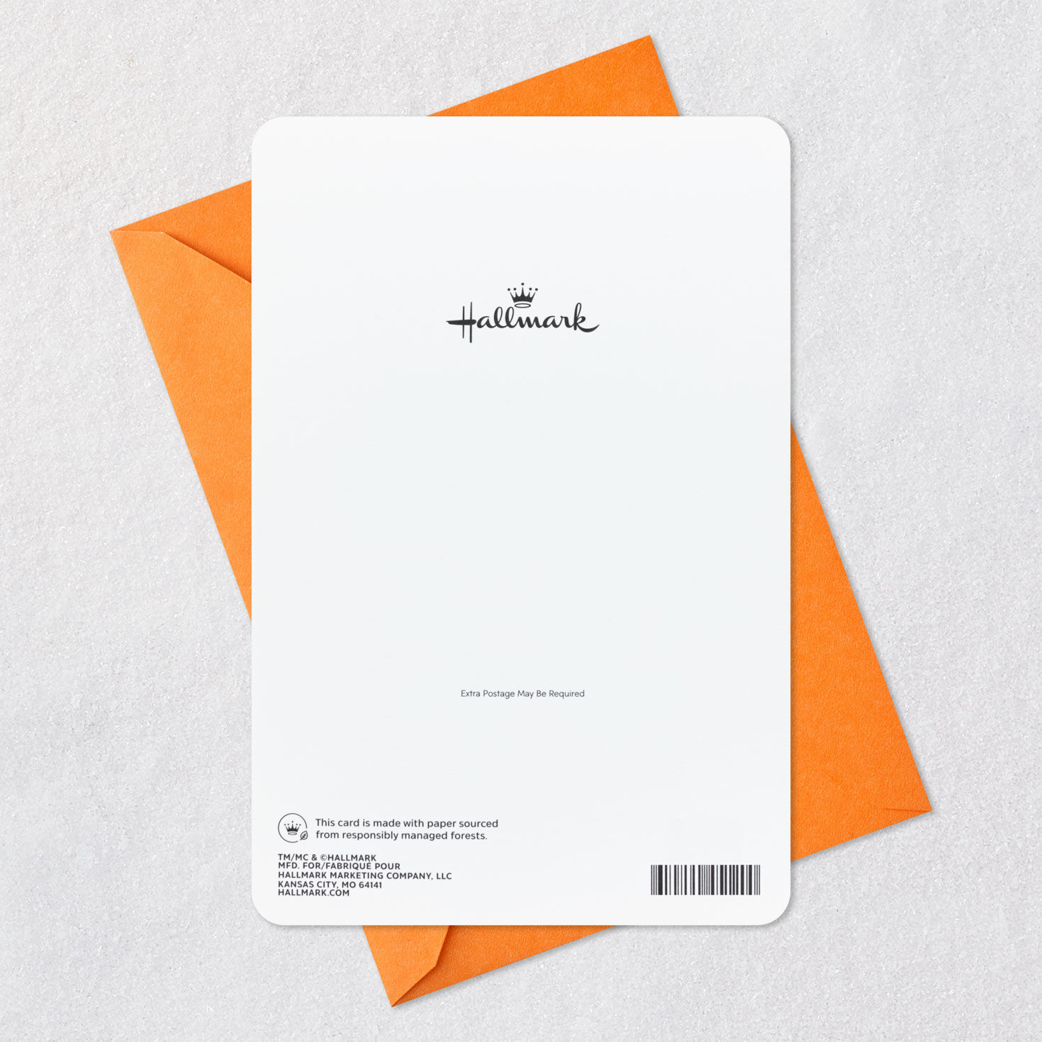 A Poem for Your Birthday Funny Lift-the-Flap Birthday Card - Greeting ...