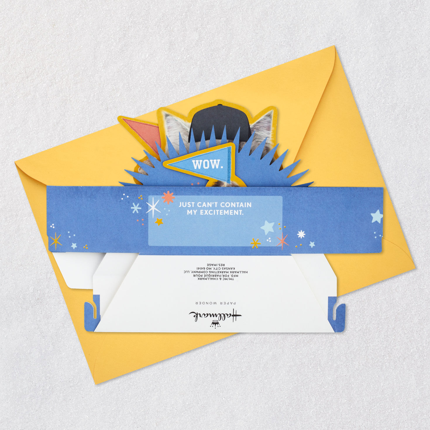 Kevin the Cat So Excited Funny 3D Pop-Up Card - Greeting Cards | Hallmark