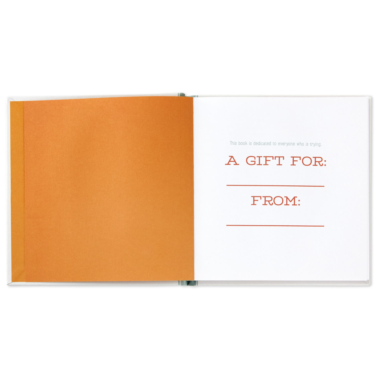 Because Jesus Book - Gift Books | Hallmark