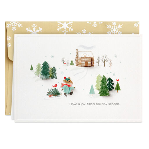 Boxed Christmas Cards 2023 | Holiday Boxed Cards | Hallmark