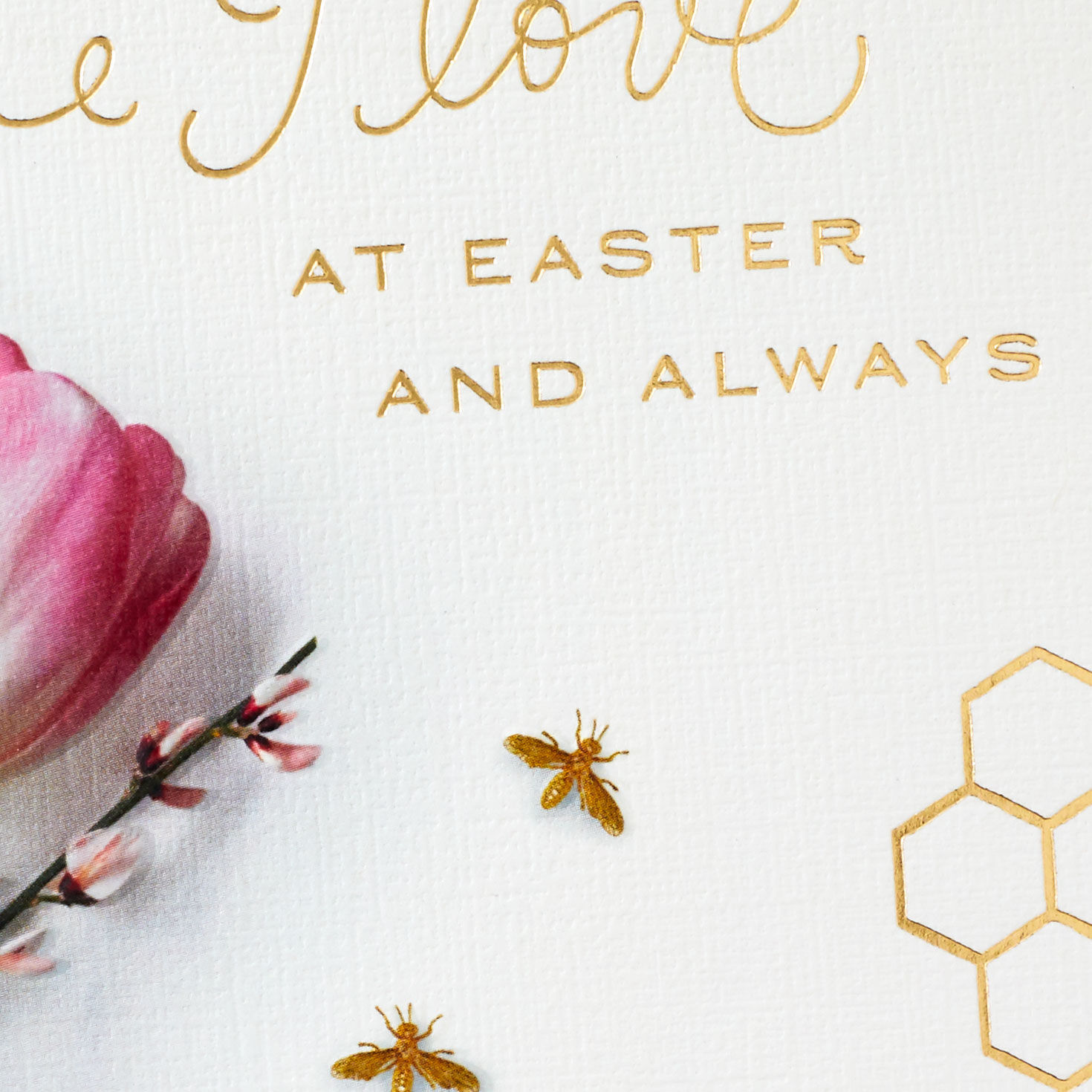 You're Everything to Me Romantic Easter Card - Greeting Cards | Hallmark