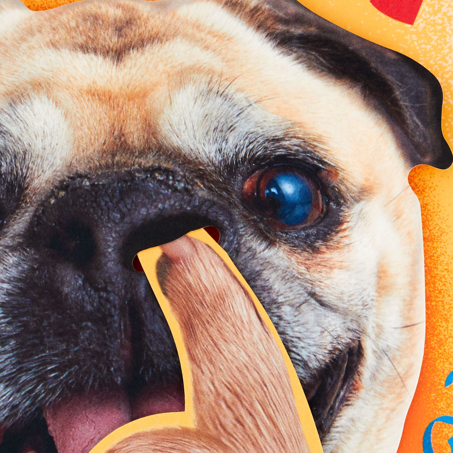 Pickin' and Grinnin' Funny Musical Birthday Card With Motion - Greeting ...