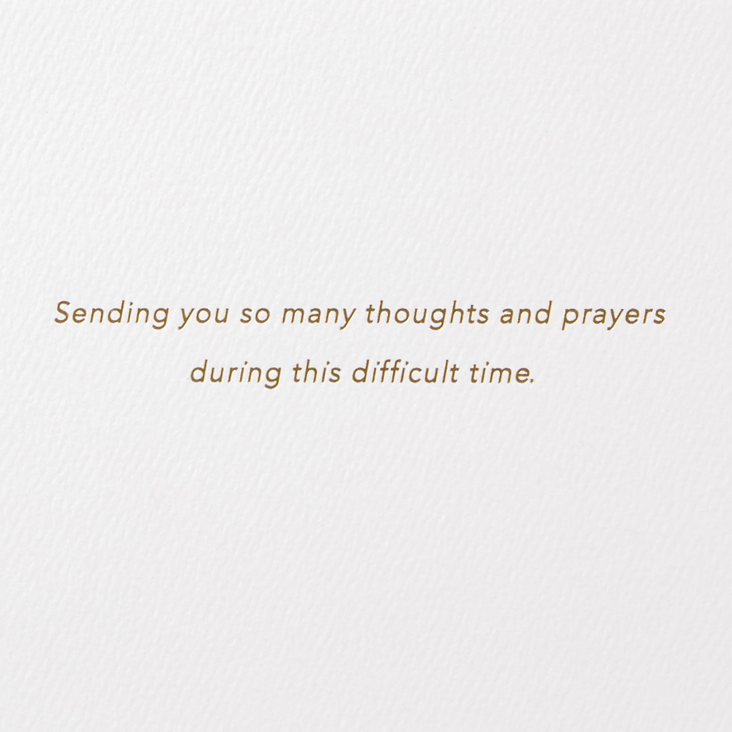 So Many Thoughts and Prayers Sympathy Card - Greeting Cards | Hallmark