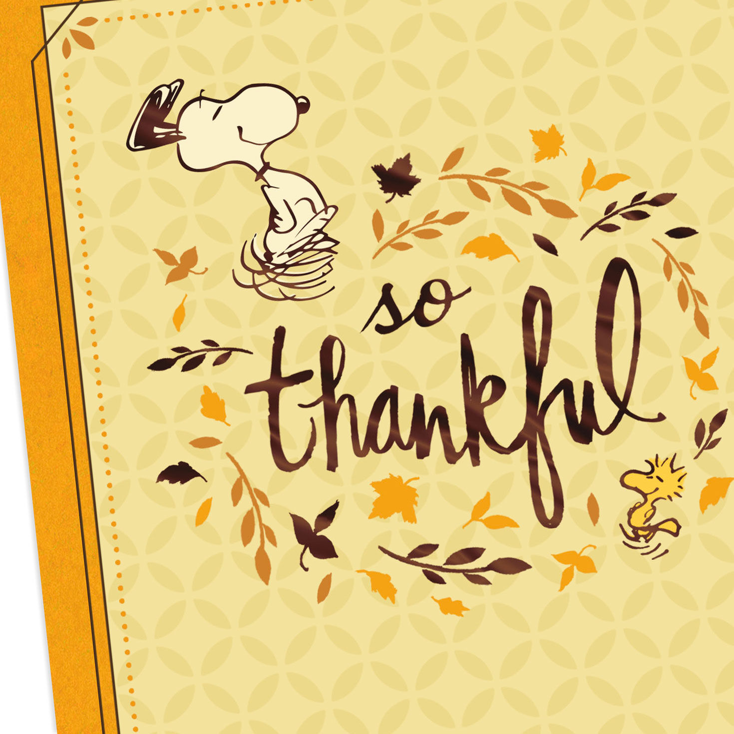Hallmark Peanuts® Snoopy and Woodstock So Thankful Thanksgiving Card ...