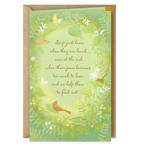 Sympathy Cards & Gifts | Hallmark