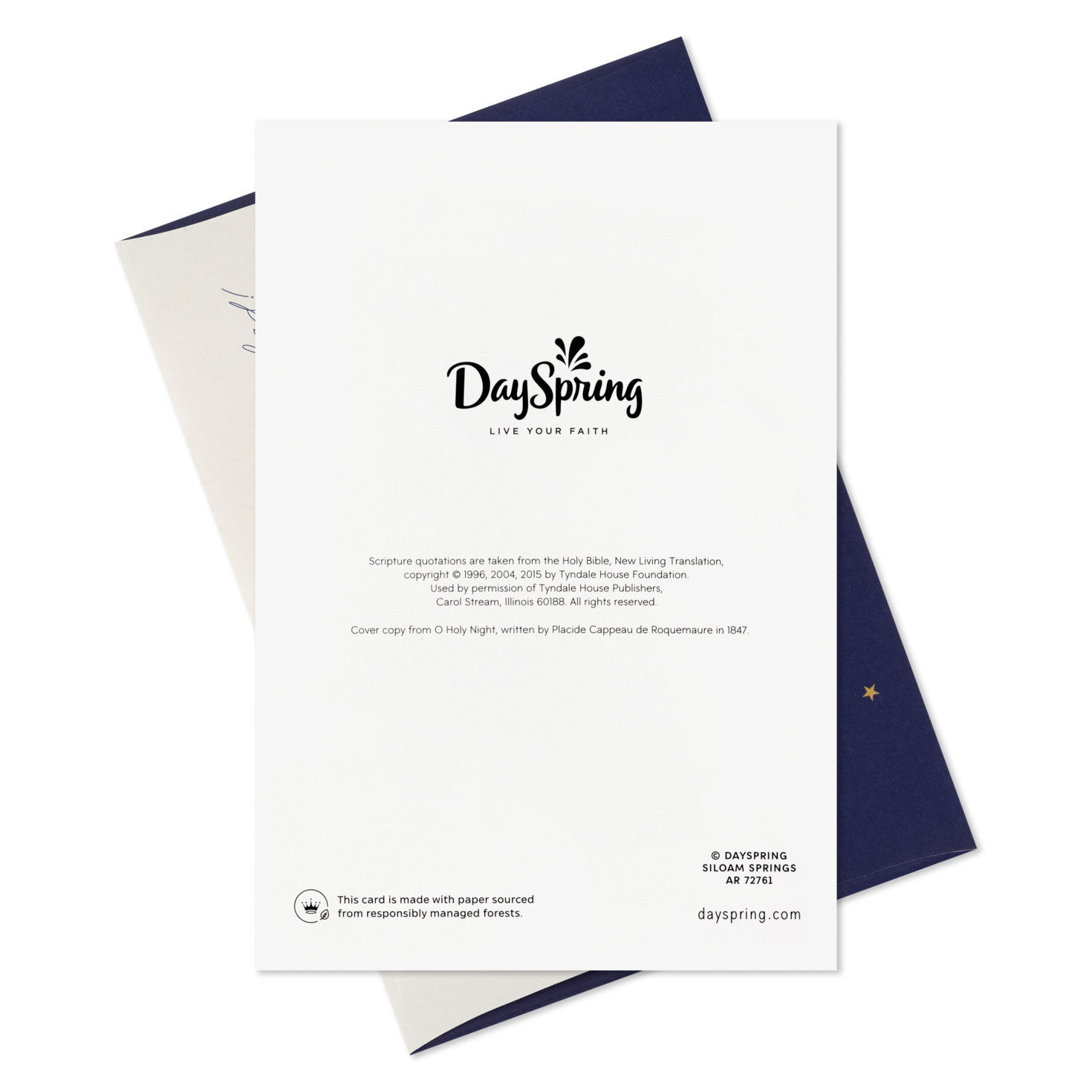 DaySpring A Thrill of Hope Boxed Christmas Cards, Pack of 12 - Boxed ...