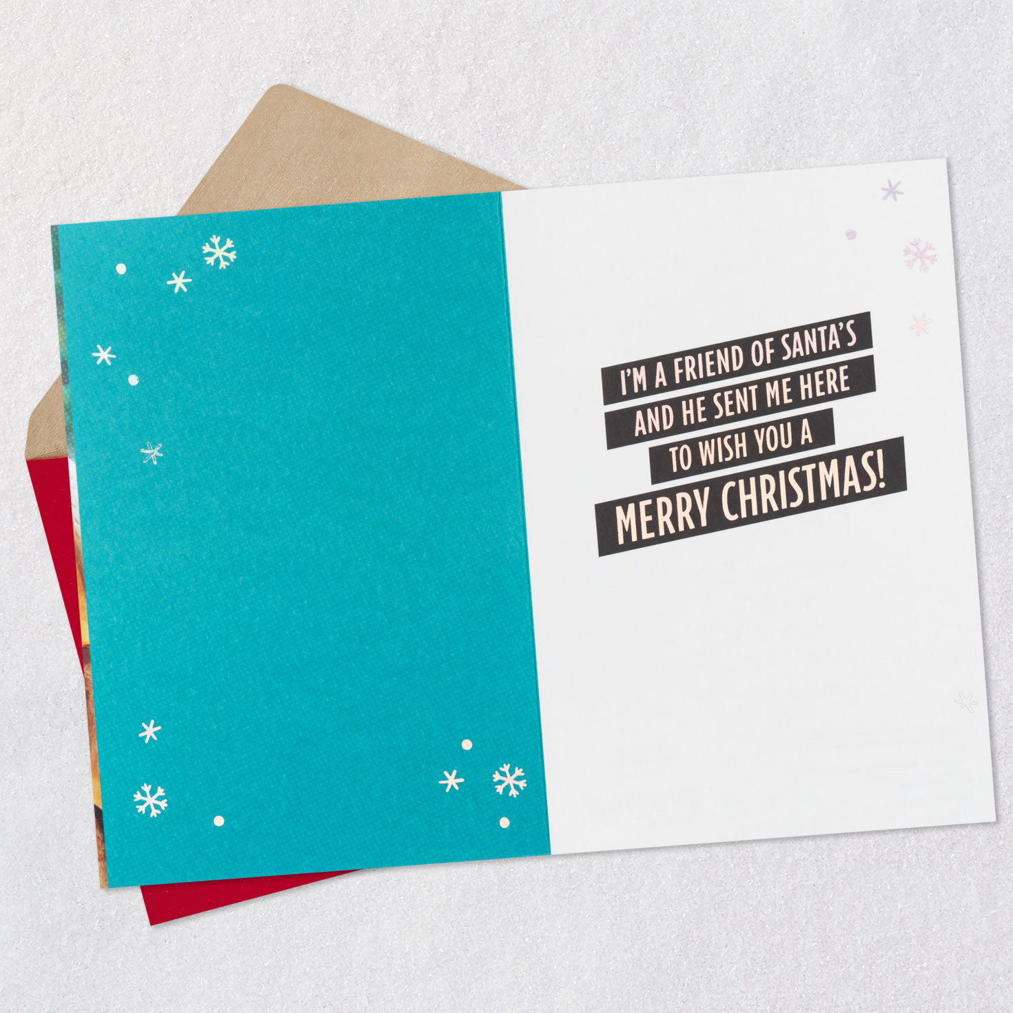 Friends The Holiday Armadillo Christmas Card Greeting Cards Hallmark