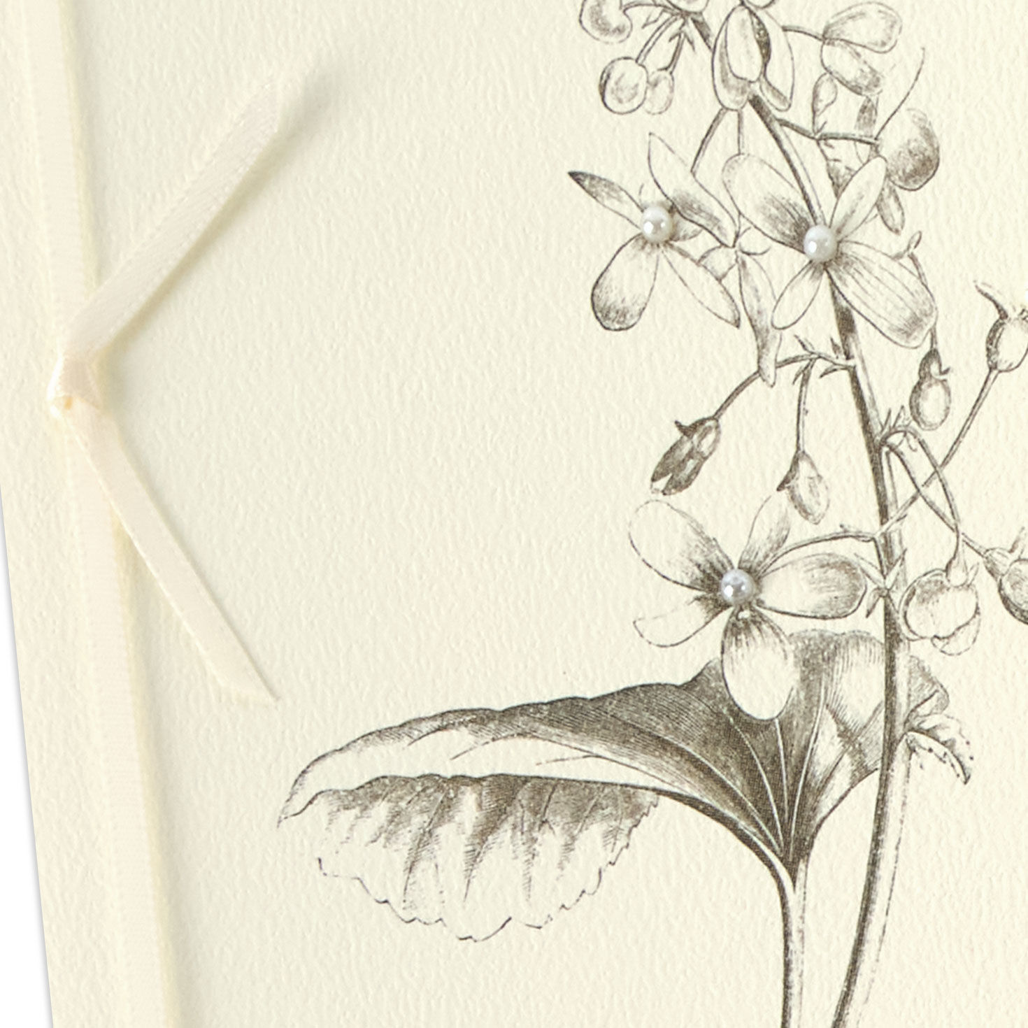 Black-and-White Botanical Drawing Blank Card - Greeting Cards | Hallmark