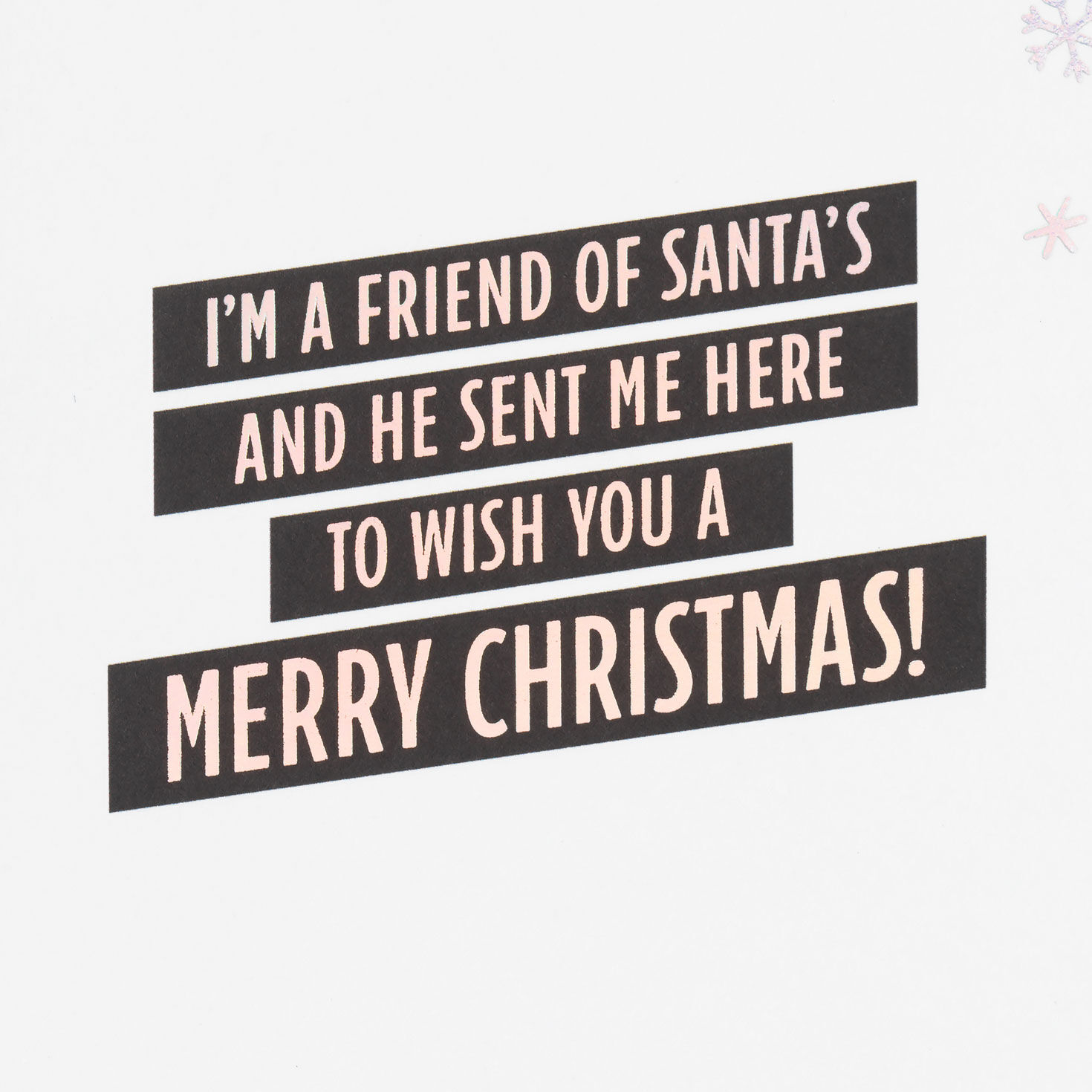Friends The Holiday Armadillo Christmas Card Greeting Cards Hallmark