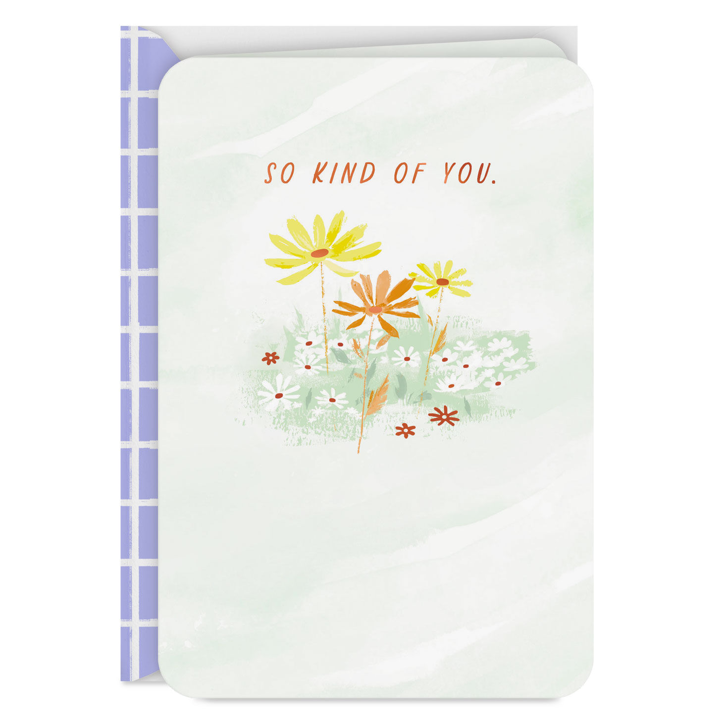 So Kind of You Thank You Card - Greeting Cards | Hallmark