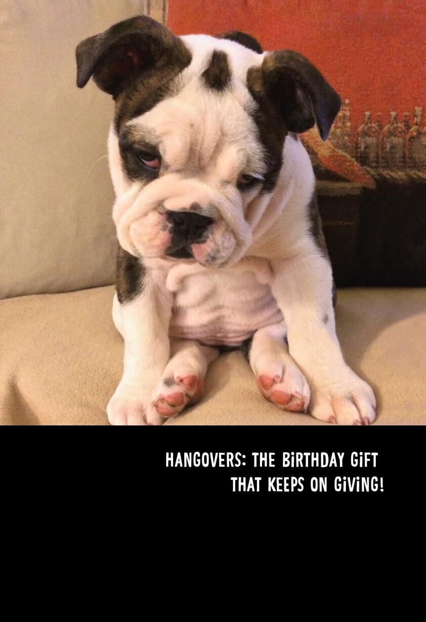 Birthday Hangovers Funny Birthday Card End Of Life Hallmark