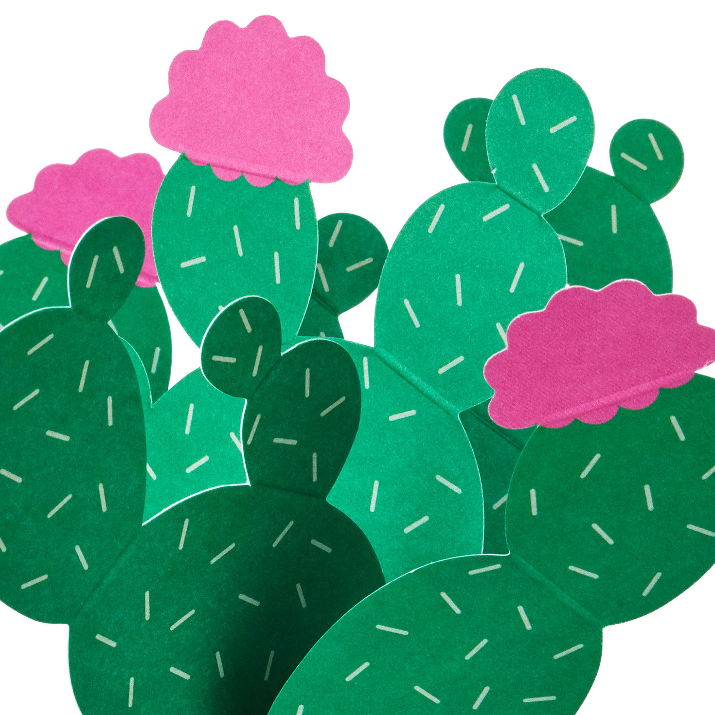 Cactus Looking Sharp 3D Pop-Up Card - Greeting Cards | Hallmark