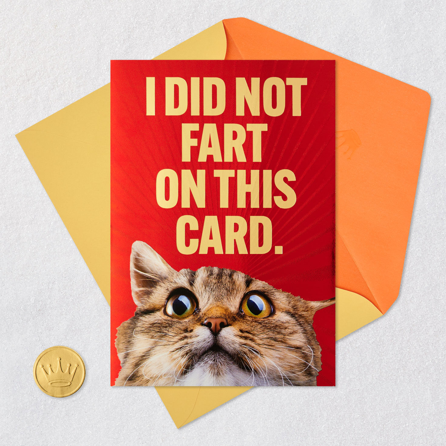 I Did Not Fart Or Did I? Funny Birthday Card - Greeting Cards | Hallmark